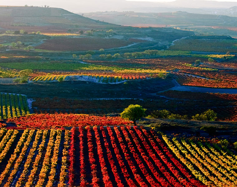 Portugal & Spain Land of Vineyards Tour - IMTBike